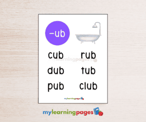 CVC WORD FAMILIES – My Learning Pages