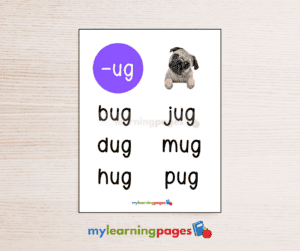 CVC WORD FAMILIES – My Learning Pages