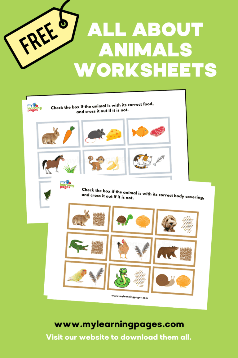 ALL ABOUT ANIMALS WORKSHEETS – My Learning Pages