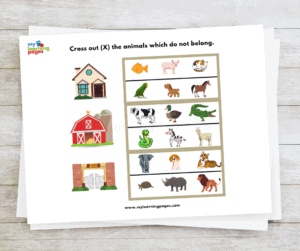 ALL ABOUT ANIMALS WORKSHEETS – My Learning Pages