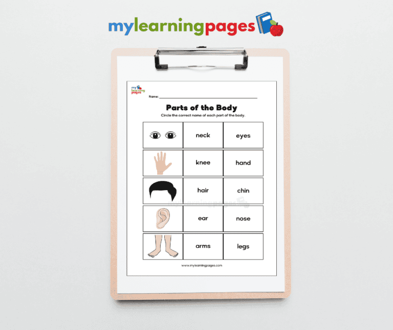 PARTS OF THE BODY WORKSHEETS – My Learning Pages