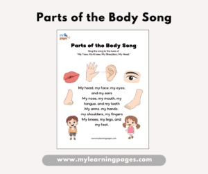 PARTS OF THE BODY FOR KIDS – My Learning Pages