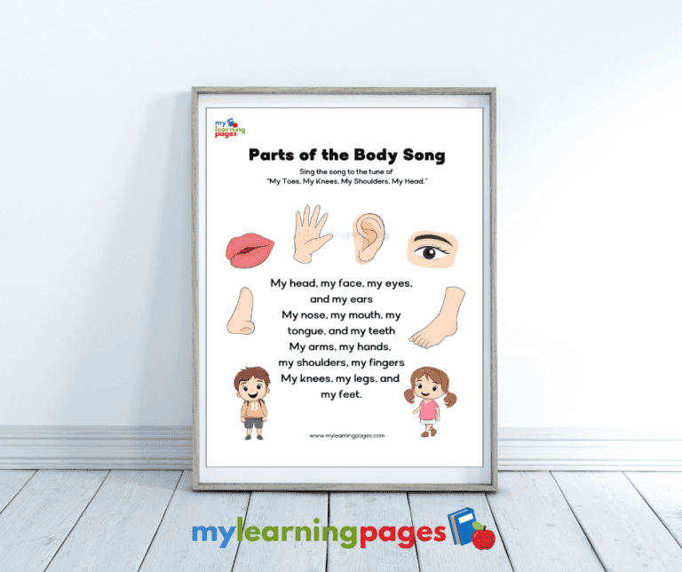 PARTS OF THE BODY FOR KIDS – My Learning Pages